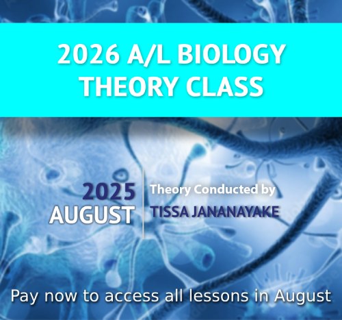 Sipsuru: 2026 Theory